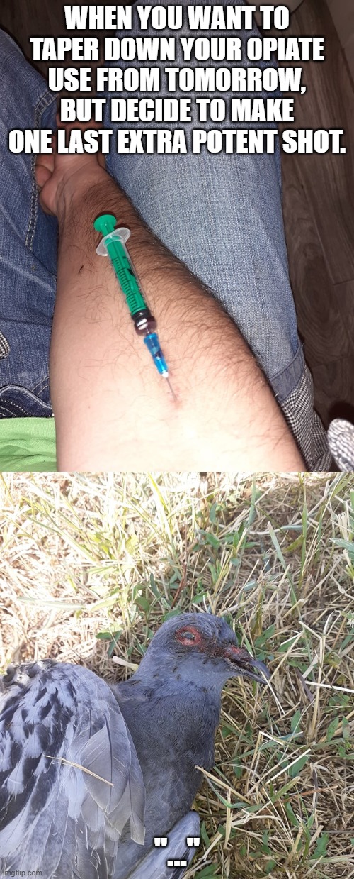 Drug tapering - Imgflip