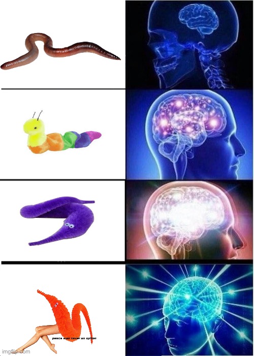 Expanding Brain Meme - Imgflip
