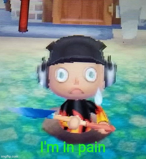 I definitely did not bury a pitfall seed and step on it - Imgflip