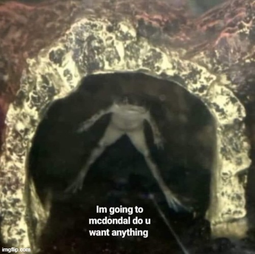 want anything - Imgflip