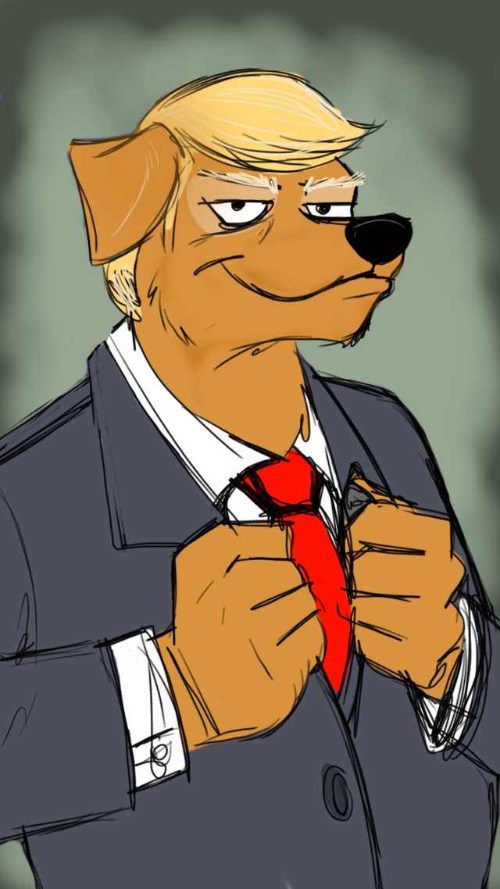 Trump Furry - Imgflip