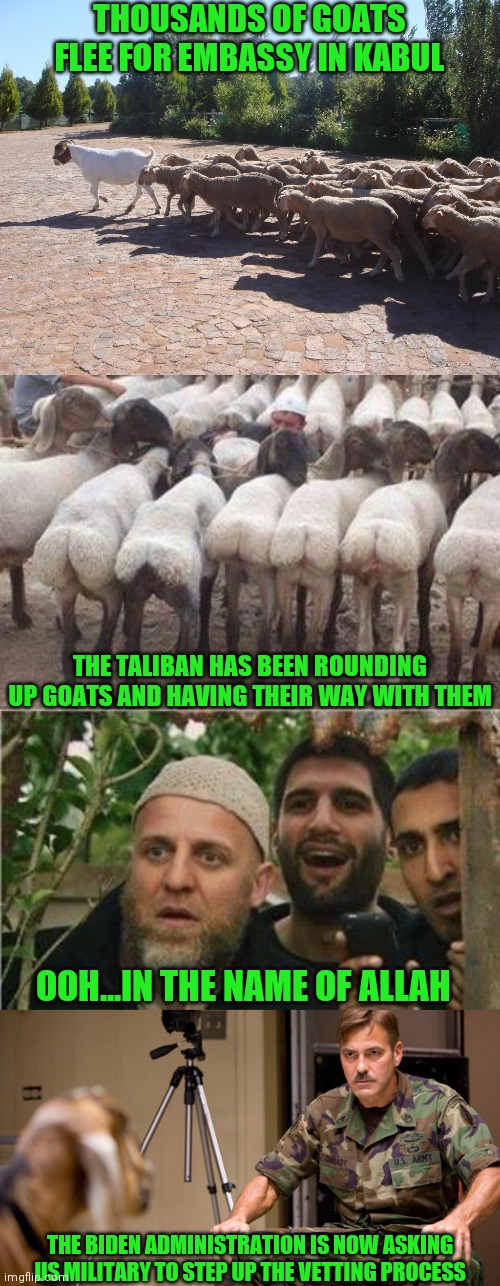 Goat refugees - Imgflip