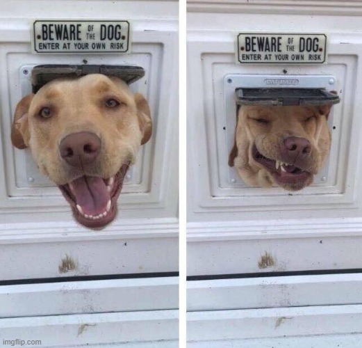 beware of dog - Imgflip