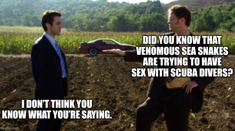 Like in Anime? - Imgflip