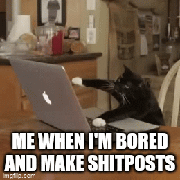 Typing kitty - Imgflip