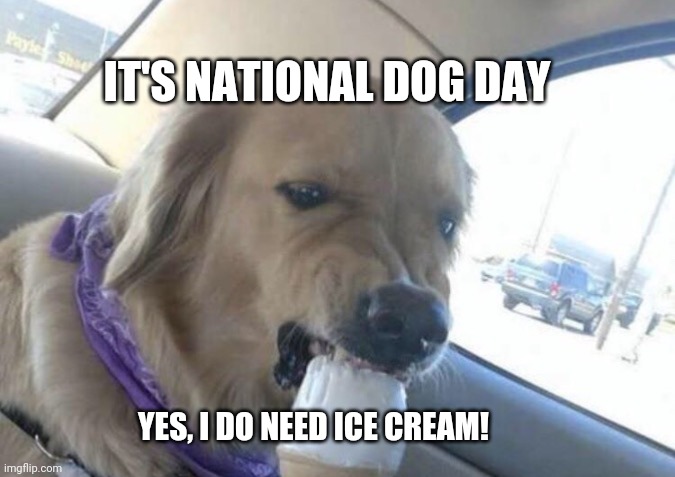 Dog eating ice cream angrily - Imgflip