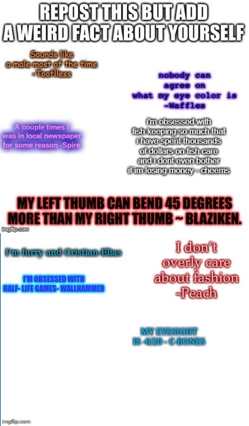 Imgflip imgflip