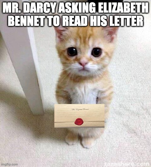 Cute Cat Meme - Imgflip