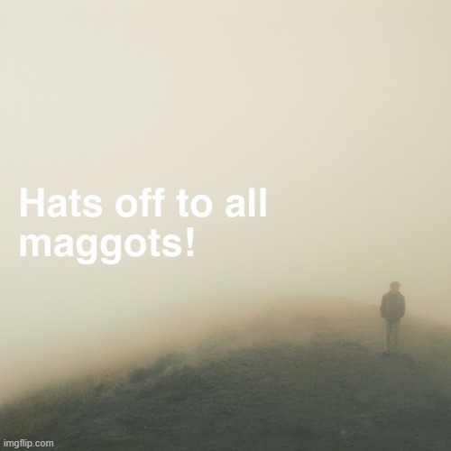 MAGGOTS - Imgflip