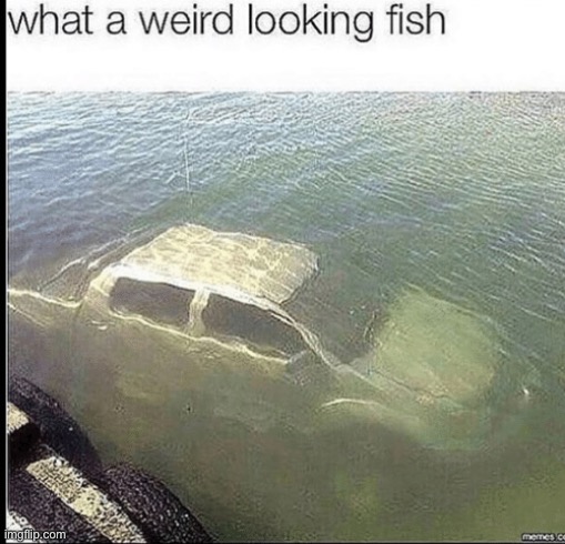 that’s not a fish- - Imgflip