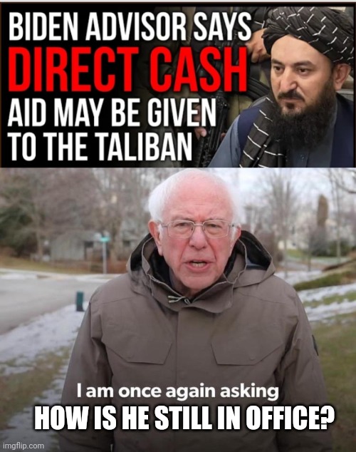 Image Tagged In Memes bernie I Am Once Again Asking For Your Support