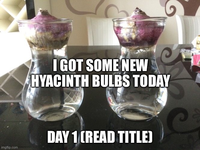 I chose to not set up the bulbs for better effects, this is not how I ...