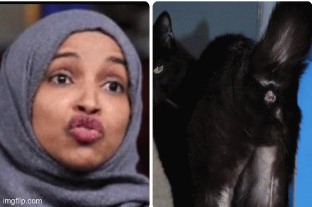 No difference - Imgflip