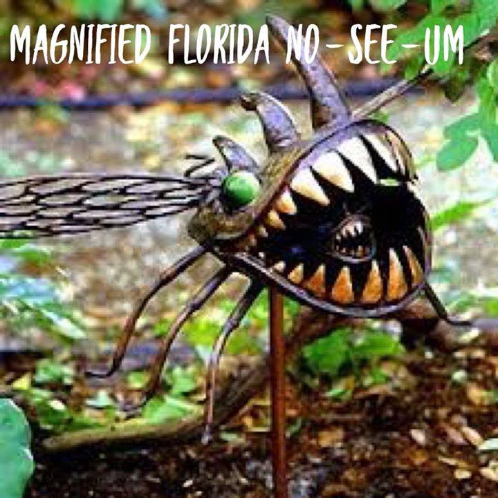 NO-SEE-UM Blank Template - Imgflip