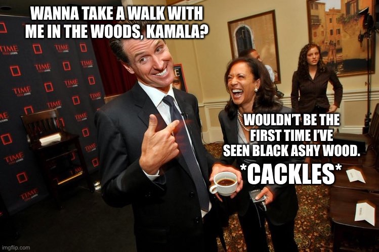 Kamala loves black ashy wood - Imgflip