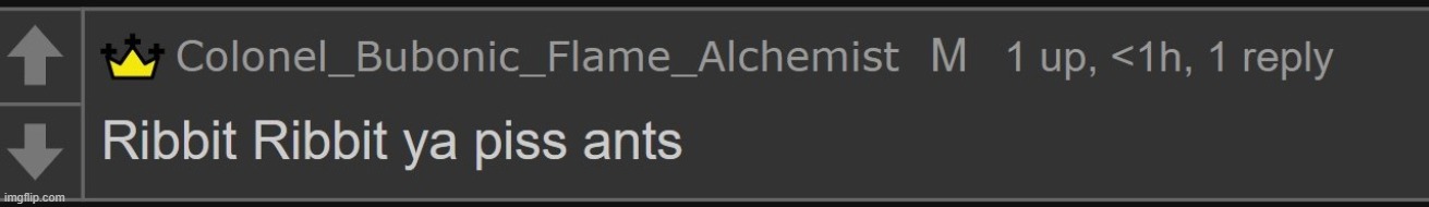 What should I do? - Imgflip