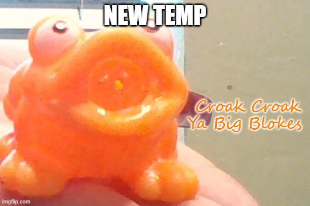 Image tagged in croak croak ya big blokes - Imgflip