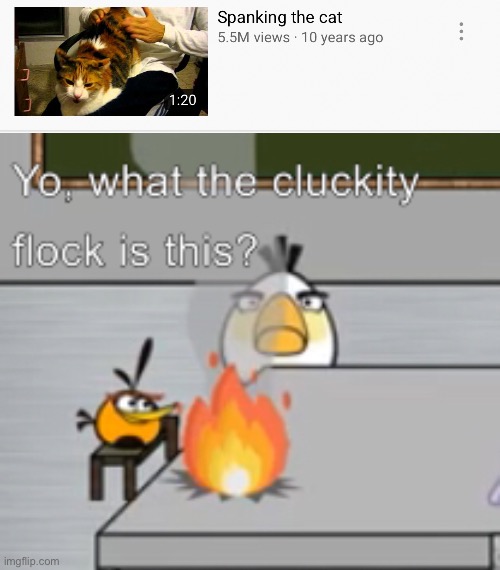 Image tagged in yo what the cluckity flock is this - Imgflip