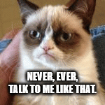 Grumpy, Of Course! You rude human!!! - Imgflip