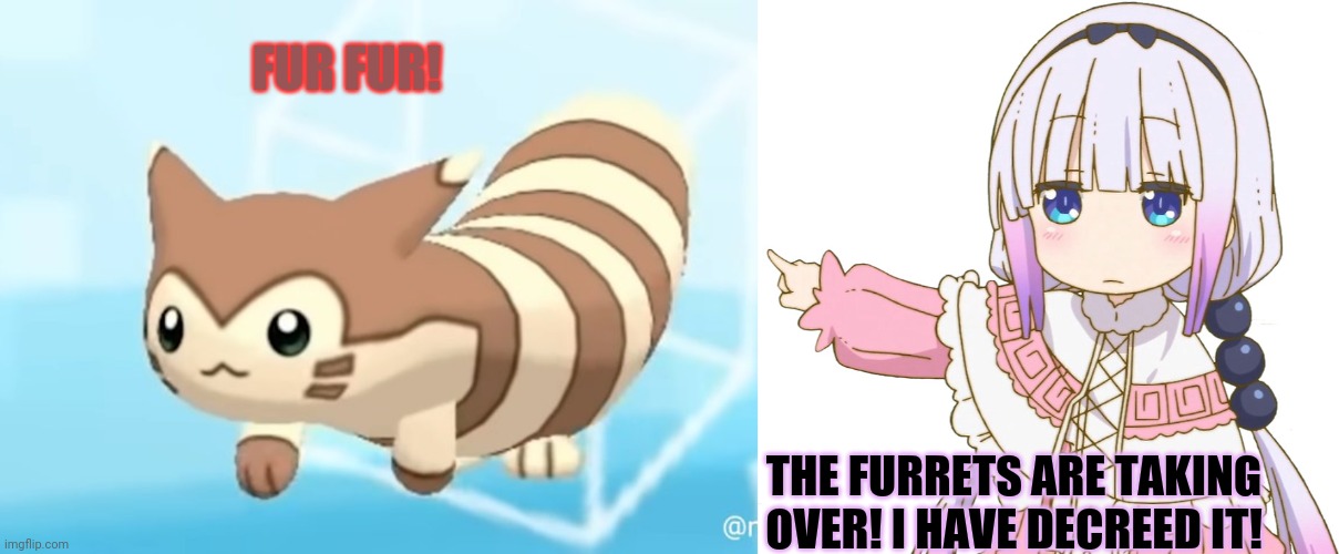 Furret invasion continues! - Imgflip