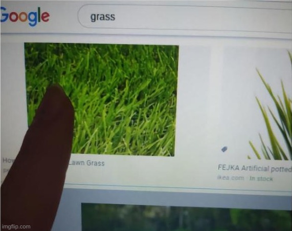 Image tagged in rambo go touch grass - Imgflip