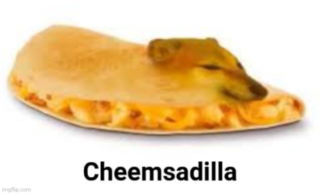 Cheemsadilla - Imgflip