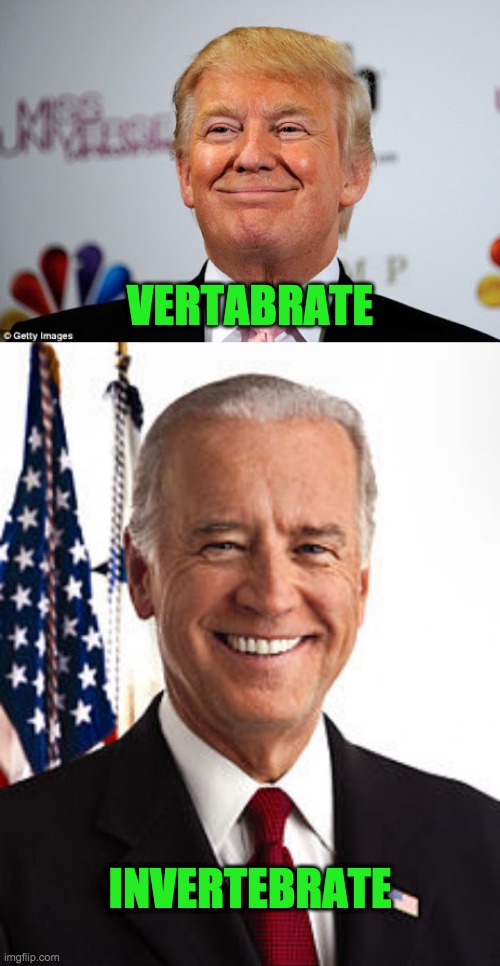 Two classes of Politicians - Imgflip