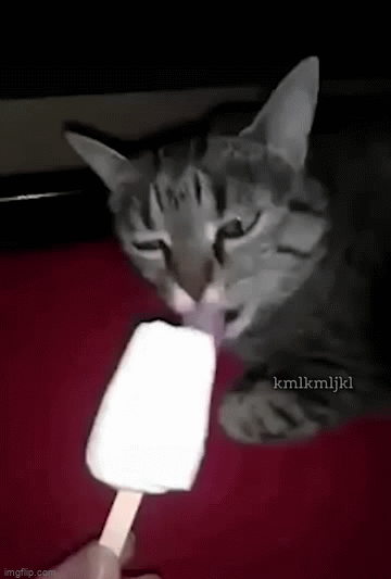 Cat Brain Freeze by kmlkmlijkl - Imgflip