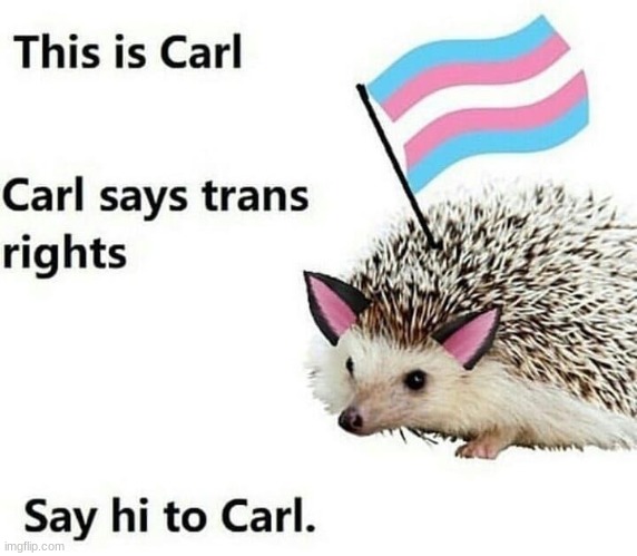 hi carl - Imgflip