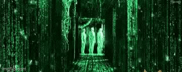 Doge in a matrix - Imgflip