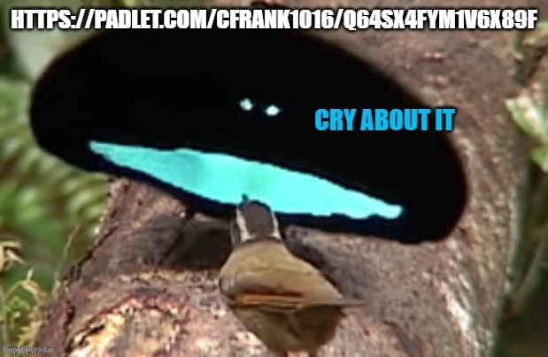 THE FREEDOM OF SPEACH now on padlet. - Imgflip