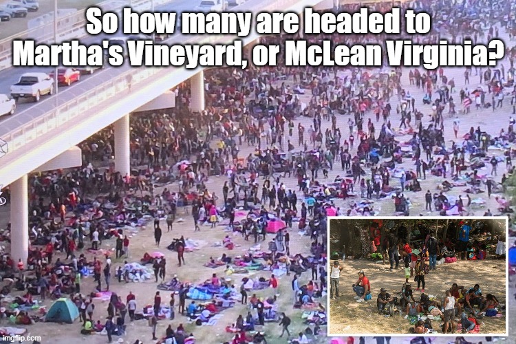 Undocumented Voters - Imgflip