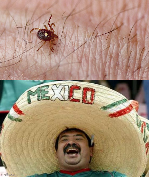 Image tagged in parasites,happy mexican - Imgflip