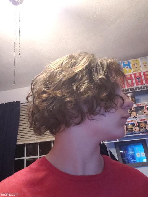 Here's my curly hair - Imgflip
