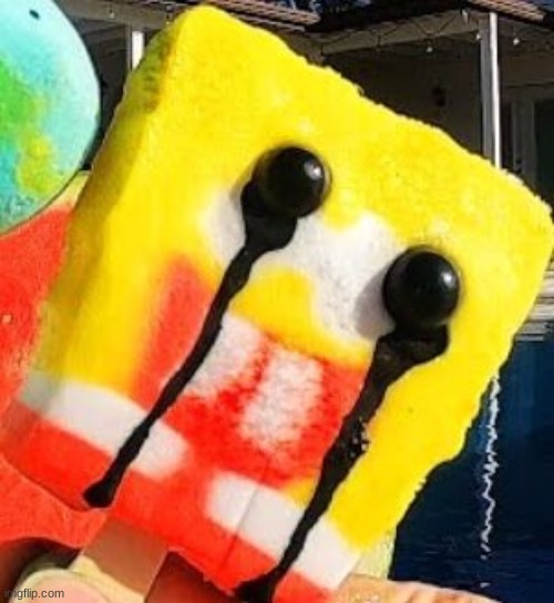 HOLY FRICK SPONGEGOERS ARE A THING - Imgflip