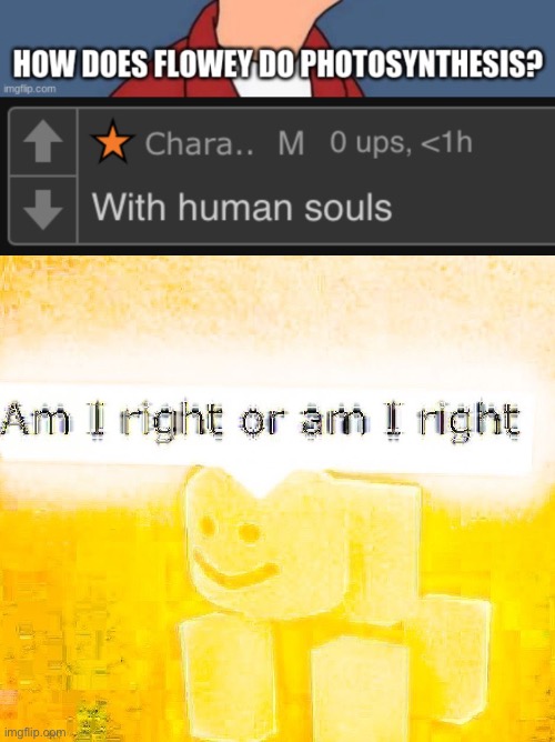 Image tagged in am i right or am i right - Imgflip