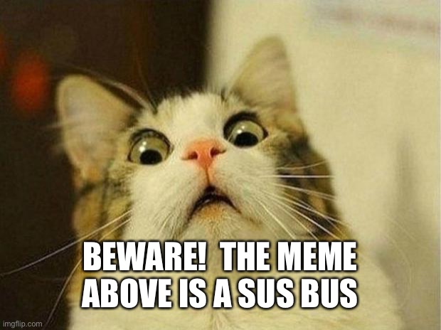 Scared Cat Meme - Imgflip