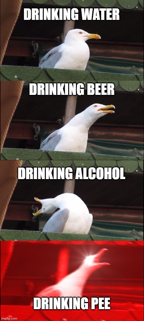 Inhaling Seagull Meme - Imgflip