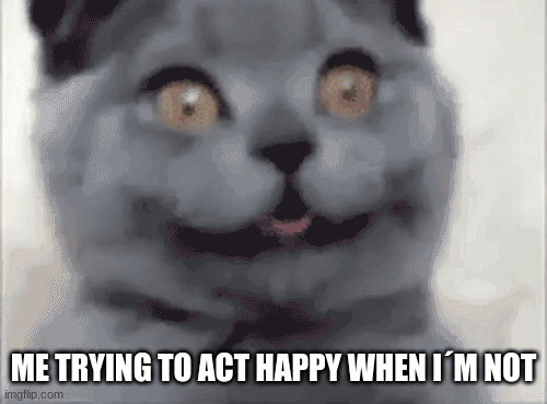 me being happy - Imgflip