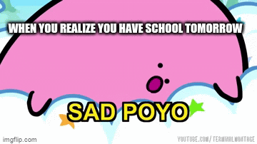 Sad poyo - Imgflip