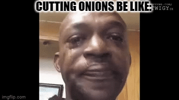 onions - Imgflip