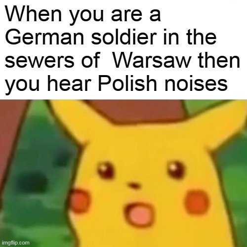 WARSAW CITY AT WAR!! : r/HistoryMemes