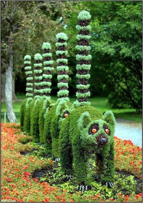 Lemur Topiary - Imgflip