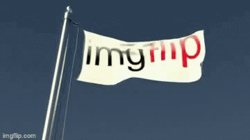 https://imgflip.com/gif-maker/342951464/Imgflip-flag - Imgflip
