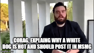 man explaining whiteboard - Imgflip