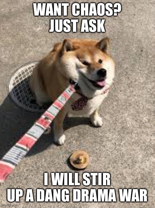 image-tagged-in-squishy-doggo-leash-imgflip