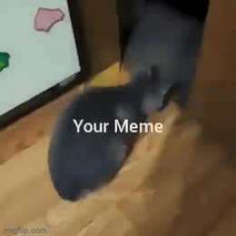 If your meme is too good . . .its mine then - Imgflip