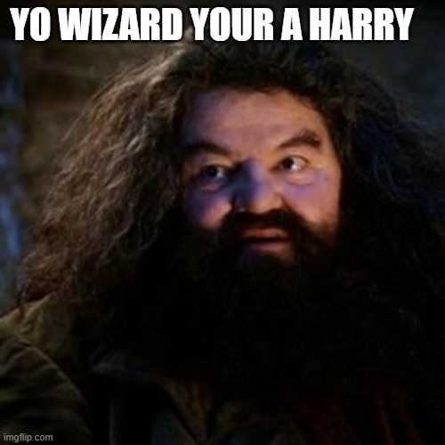 You're a wizard harry - Imgflip