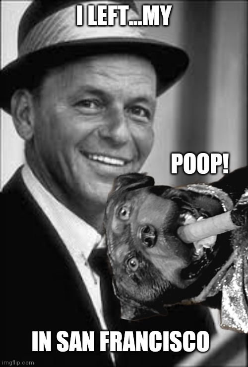 San Francisco is full of poop - Imgflip