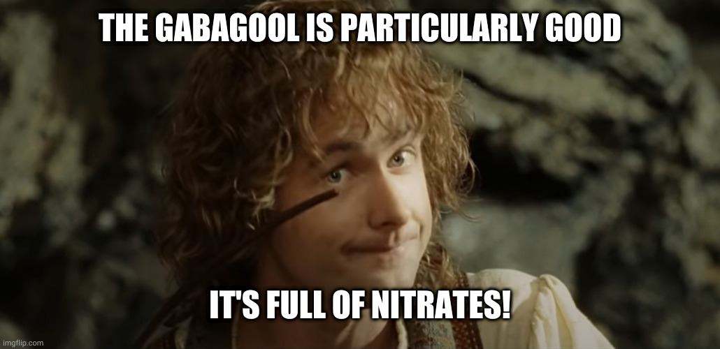 Salted Pork is Particularly Good - Imgflip